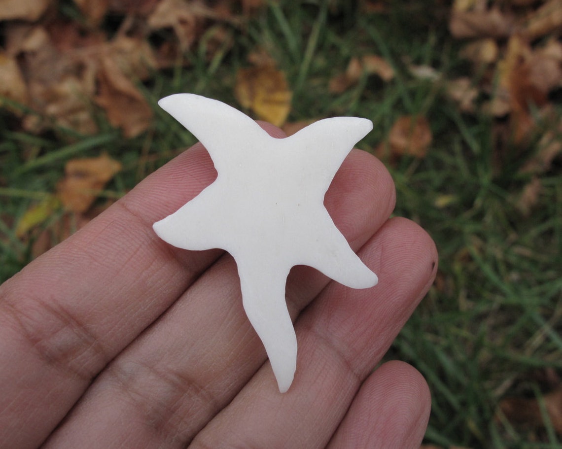 Beautiful Star Fish, Buffalo Bone Carving, Jewelry Making Supplies ...