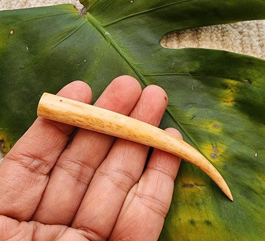 Our Longest Hand Carved Buffalo Bone Tusk , Buffalo Bone Carving, Bone ...