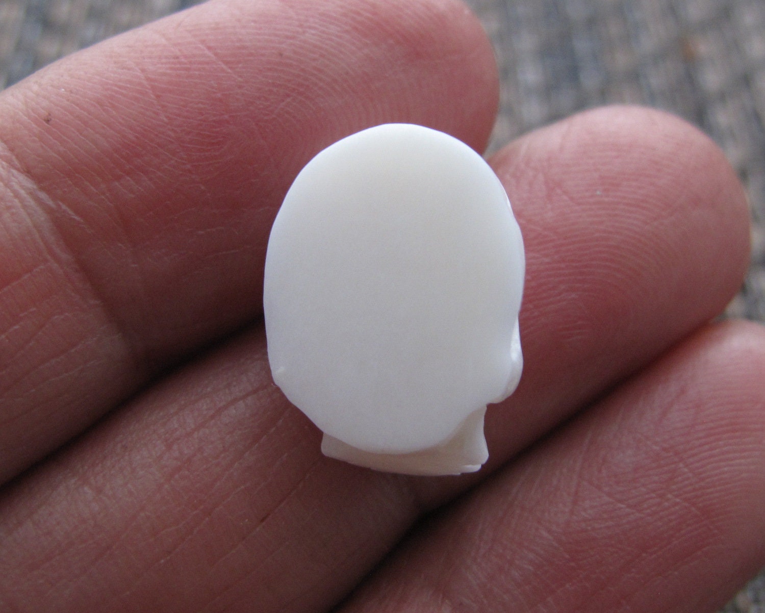 Small Jawless Flat Back Skull Deep Relief Buffalo Bone - Etsy