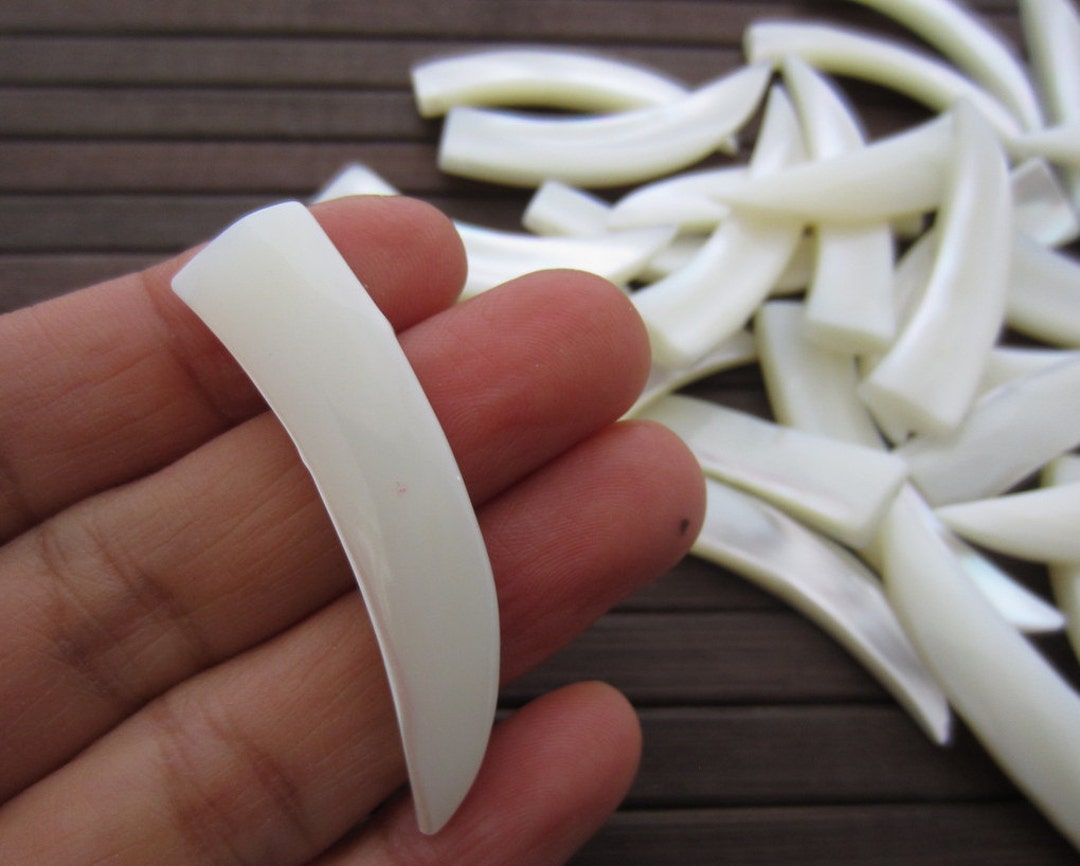 Hand Carved Mother of Pearl Tusk, Not Drill, Jewelry Making Supplies ...