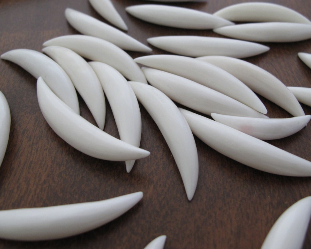 Double Horn , Buffalo BONE Carving, Embellishment, Jewelry Making ...