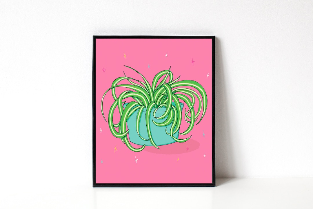 Spider Plant 8x10 Art Print - Plant Illustration - Spider Plant Art ...