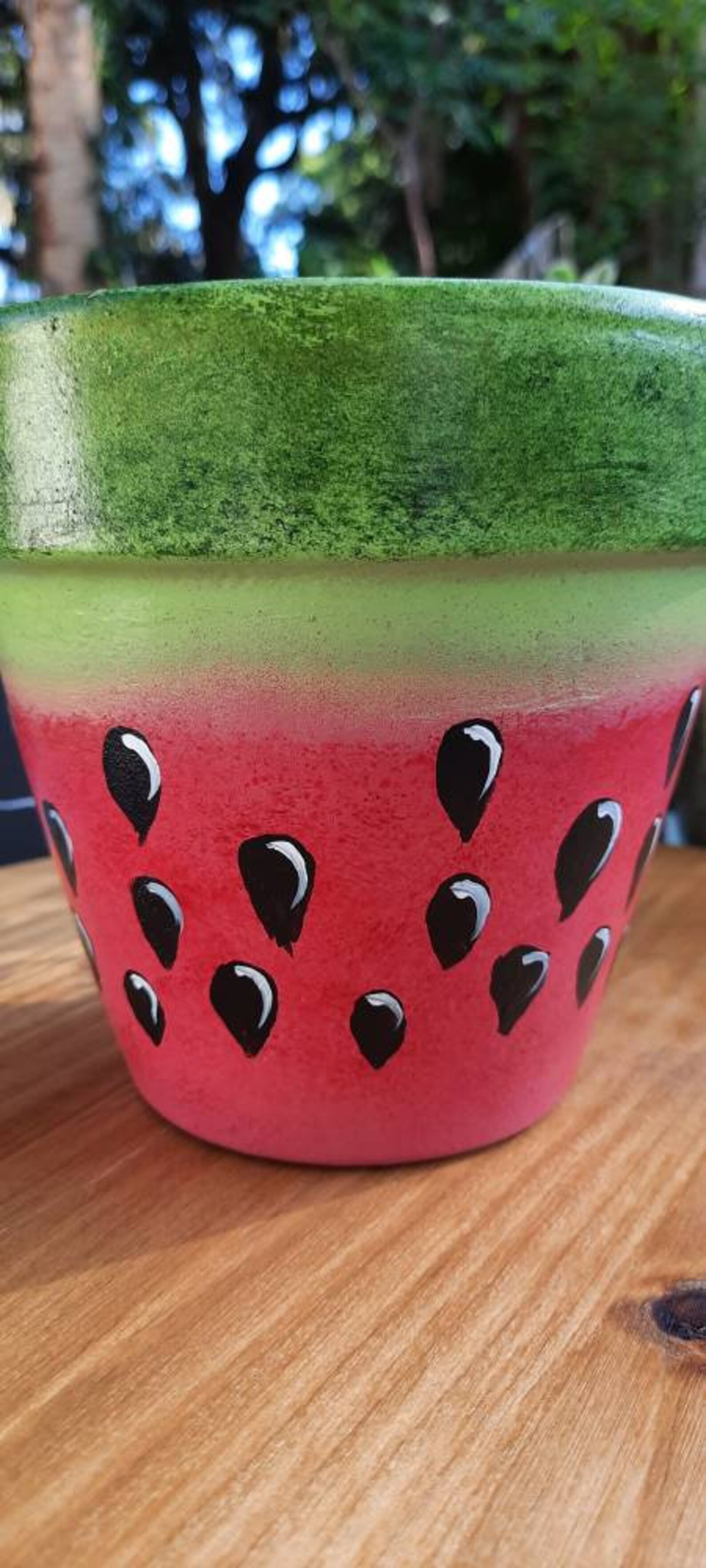 Terracotta Clay 6 Inch Pot Watermelon Handpainted Homemade - Etsy
