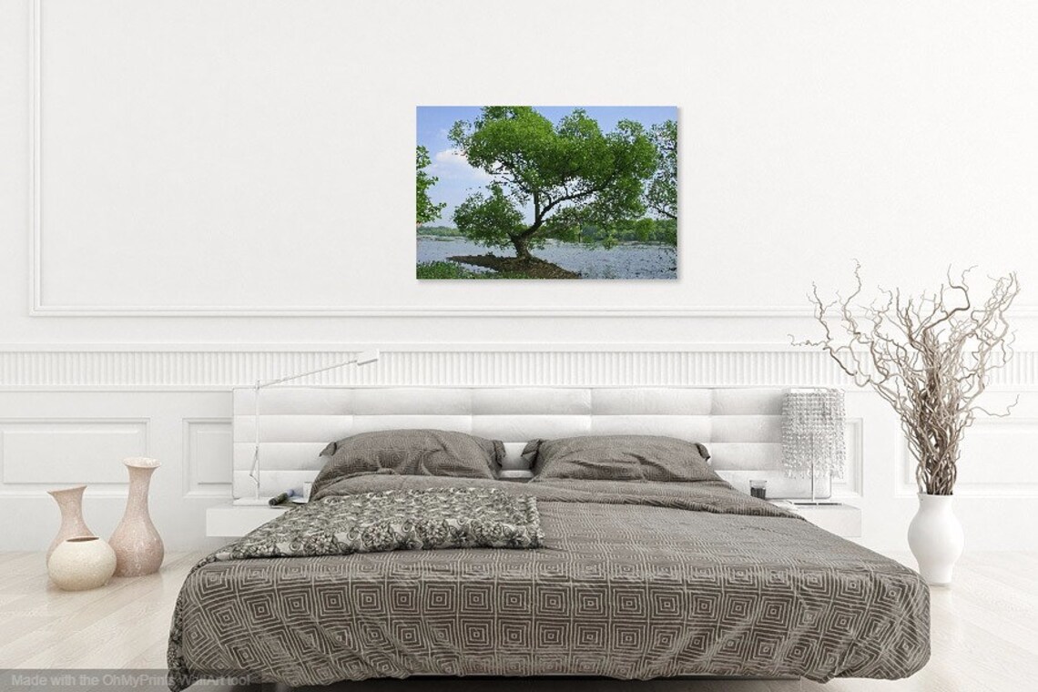James River Tree Richmond Virginia Landscape Water Photo Art - Etsy