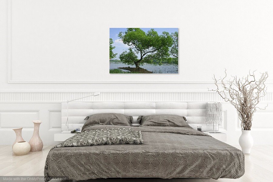 James River Tree, Richmond Virginia Landscape Water Photo Art, Framed ...