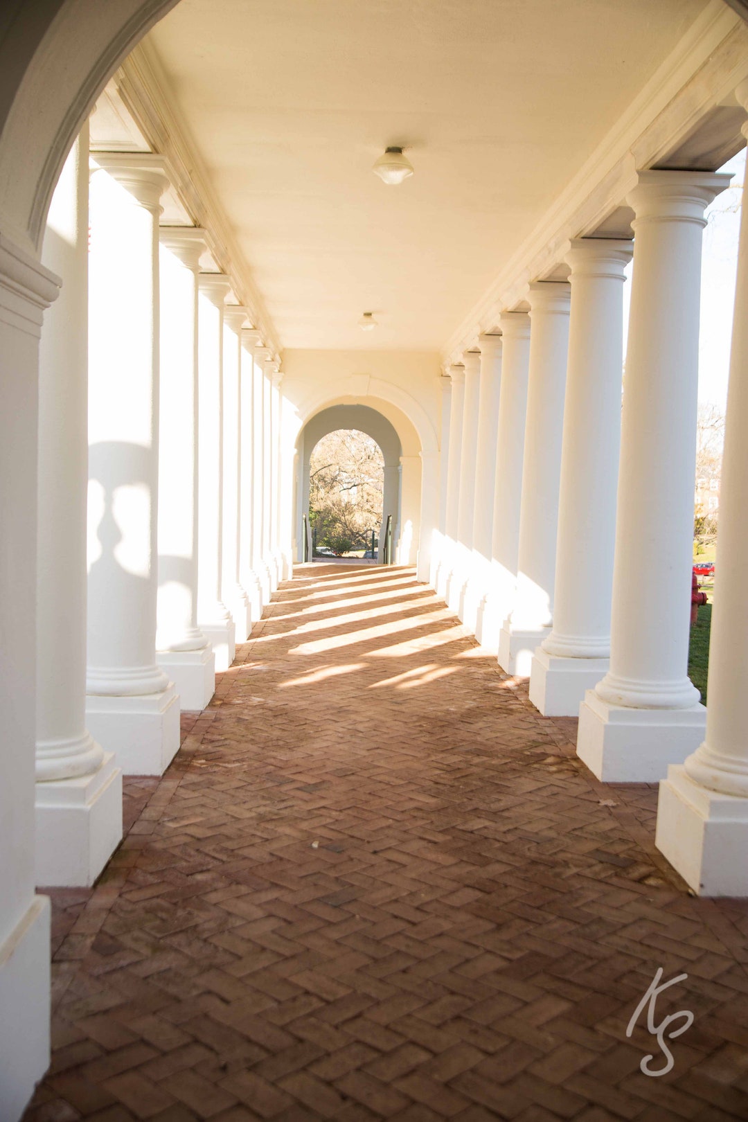 University of Virginia Lawn Walkway, Graduation Gift, Charlottesville ...