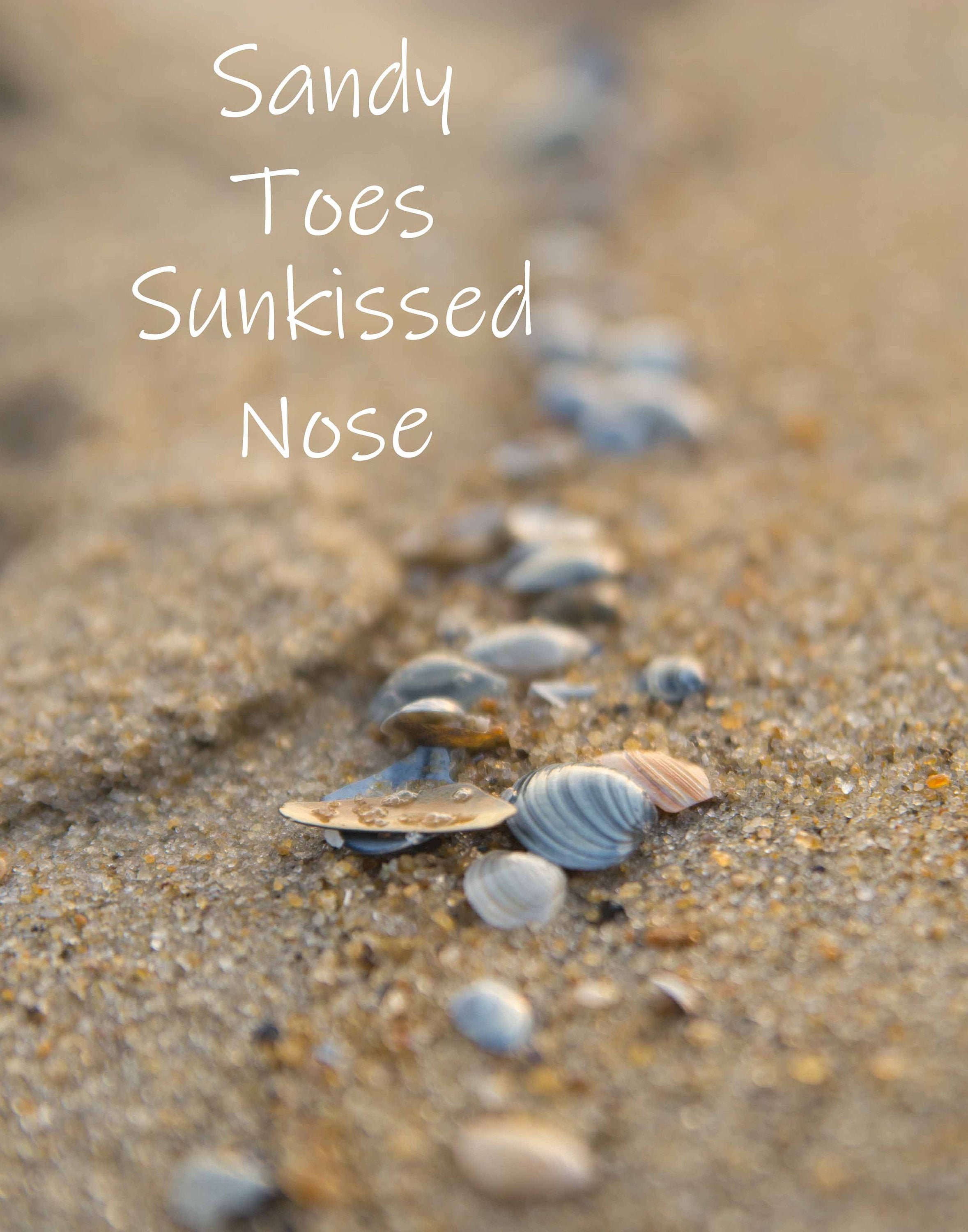 Sandy Toes Sunkissed Nose Sign Photo Beach Photo Seashell - Etsy