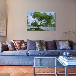 James River Tree, Richmond Virginia Landscape Water Photo Art, Framed ...