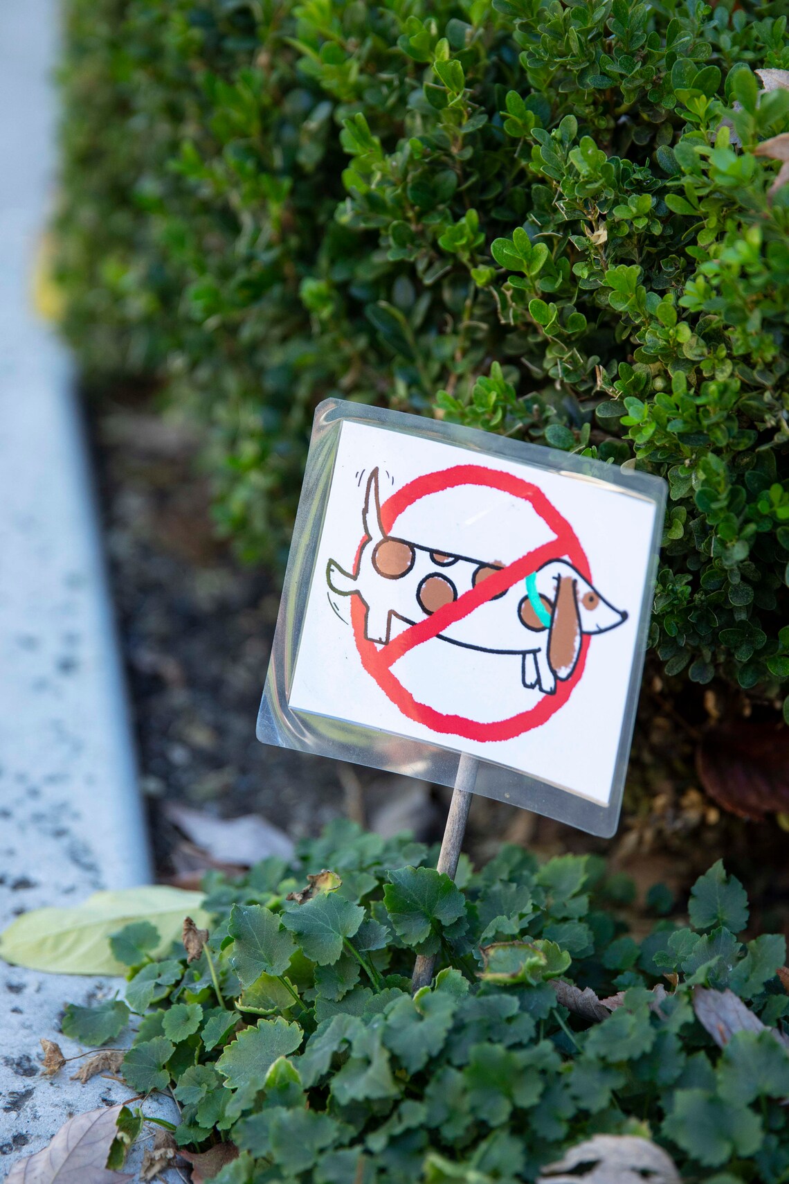 Printable Dog No Peeing Sign. Downloadable, Digital Art. Fun Keep off ...