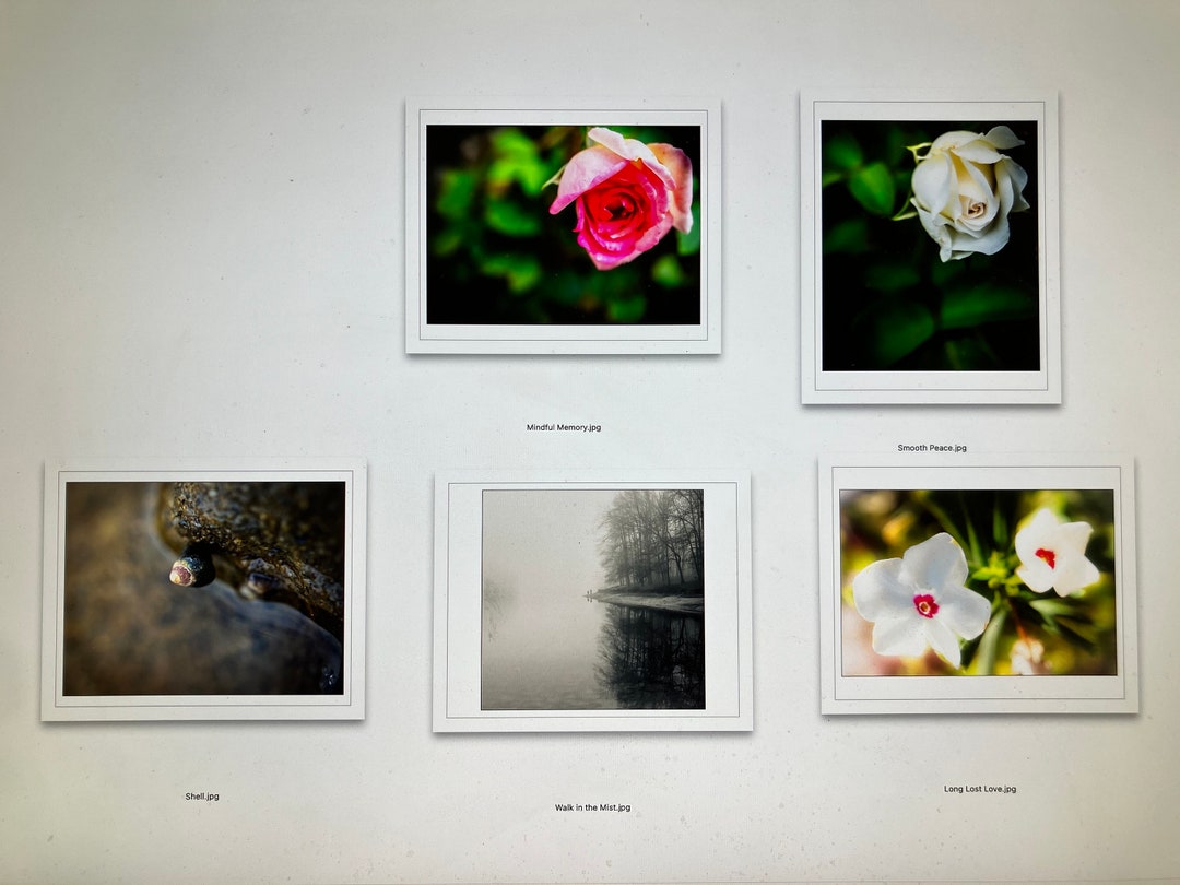 Note Cards Memory Lane Pack of 5 - Etsy