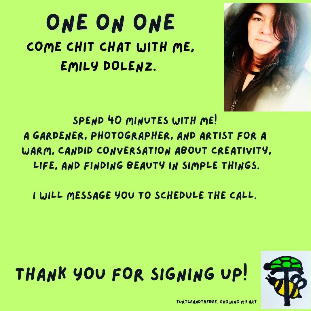 One on One Live Zoom With Emily Dolenz - Etsy