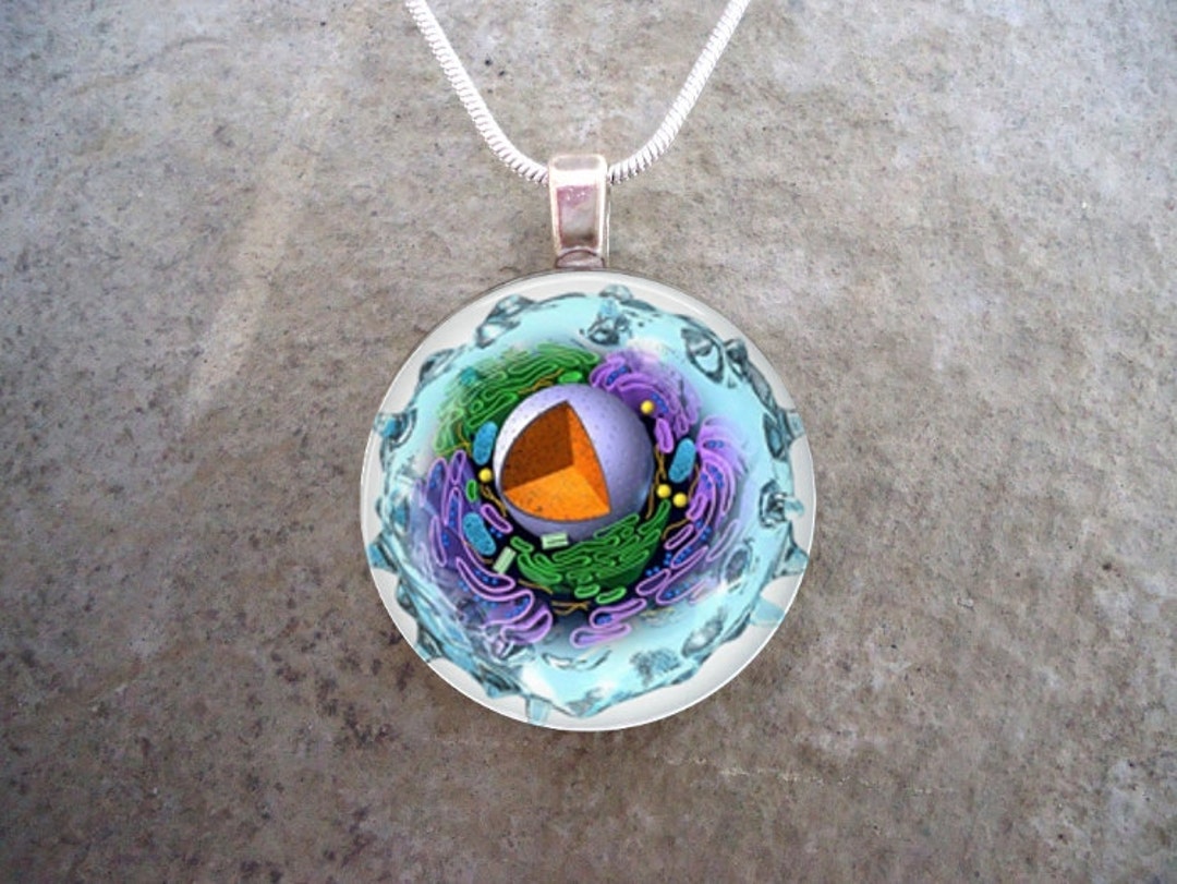 Cell Jewelry Glass Pendant Necklace Science Jewellery Cell 2 Free ...