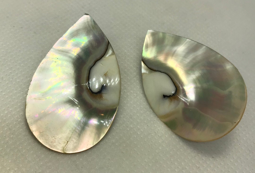 Beautiful Mother of Pearl Shell Earrings. 7 Grms, 1.5 X 1. Gorgeous ...
