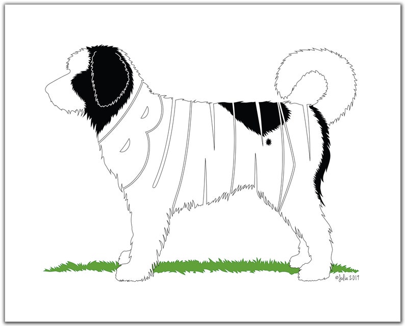Sheepadoodle With Distinct Markings 7" X 5" (or Larger) Custom Gift ...