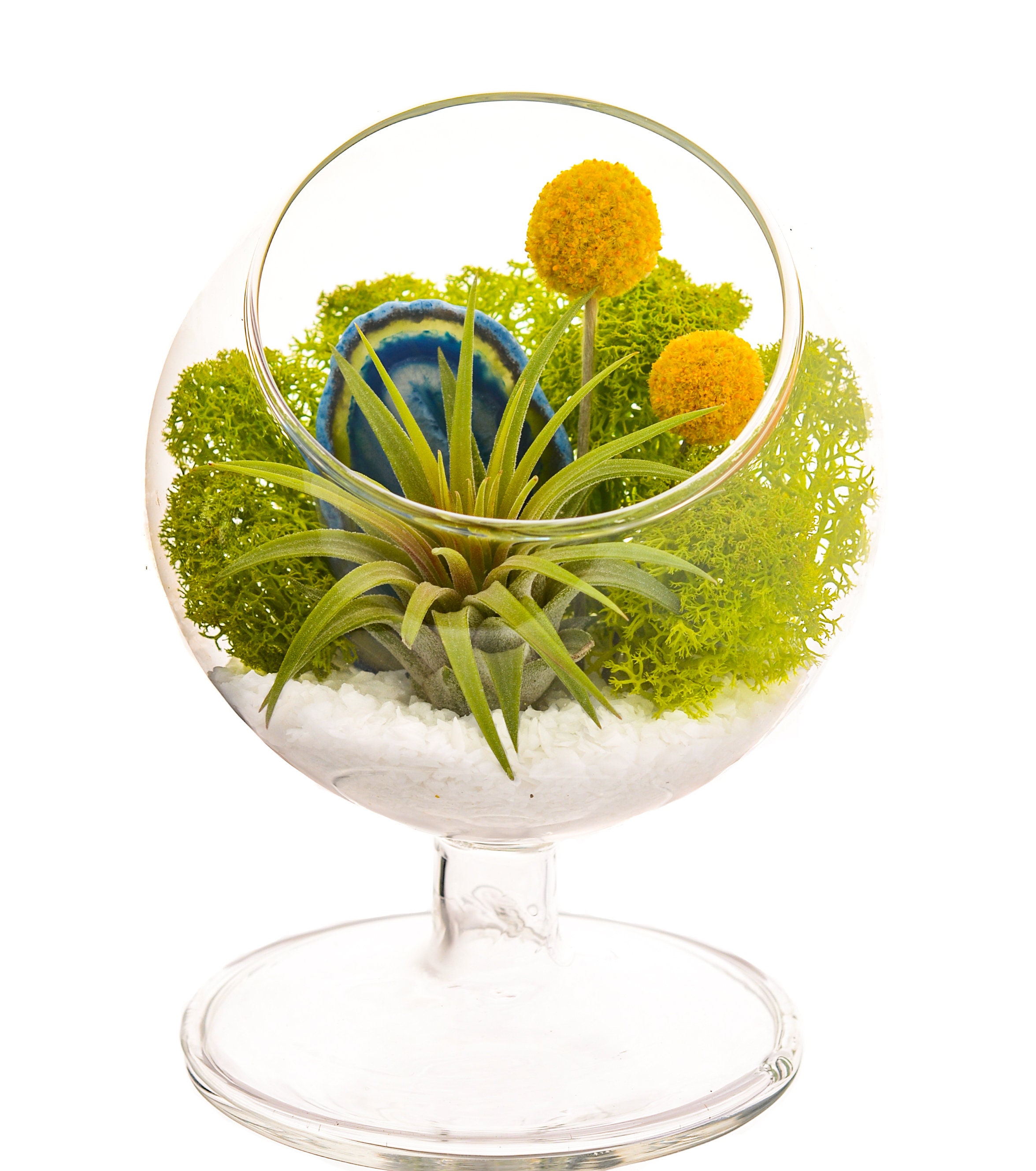 Air Plant Terrarium Kit With Blue Agate / 4 Round Glass - Etsy