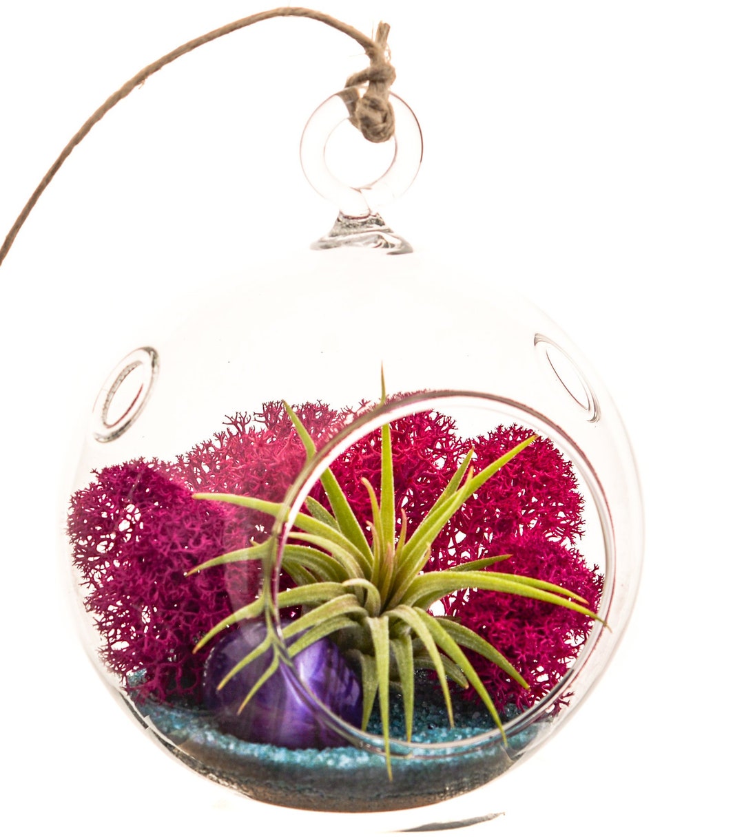Mini Air Plant Terrarium With Fuchsia Moss Turquoise Sand and - Etsy
