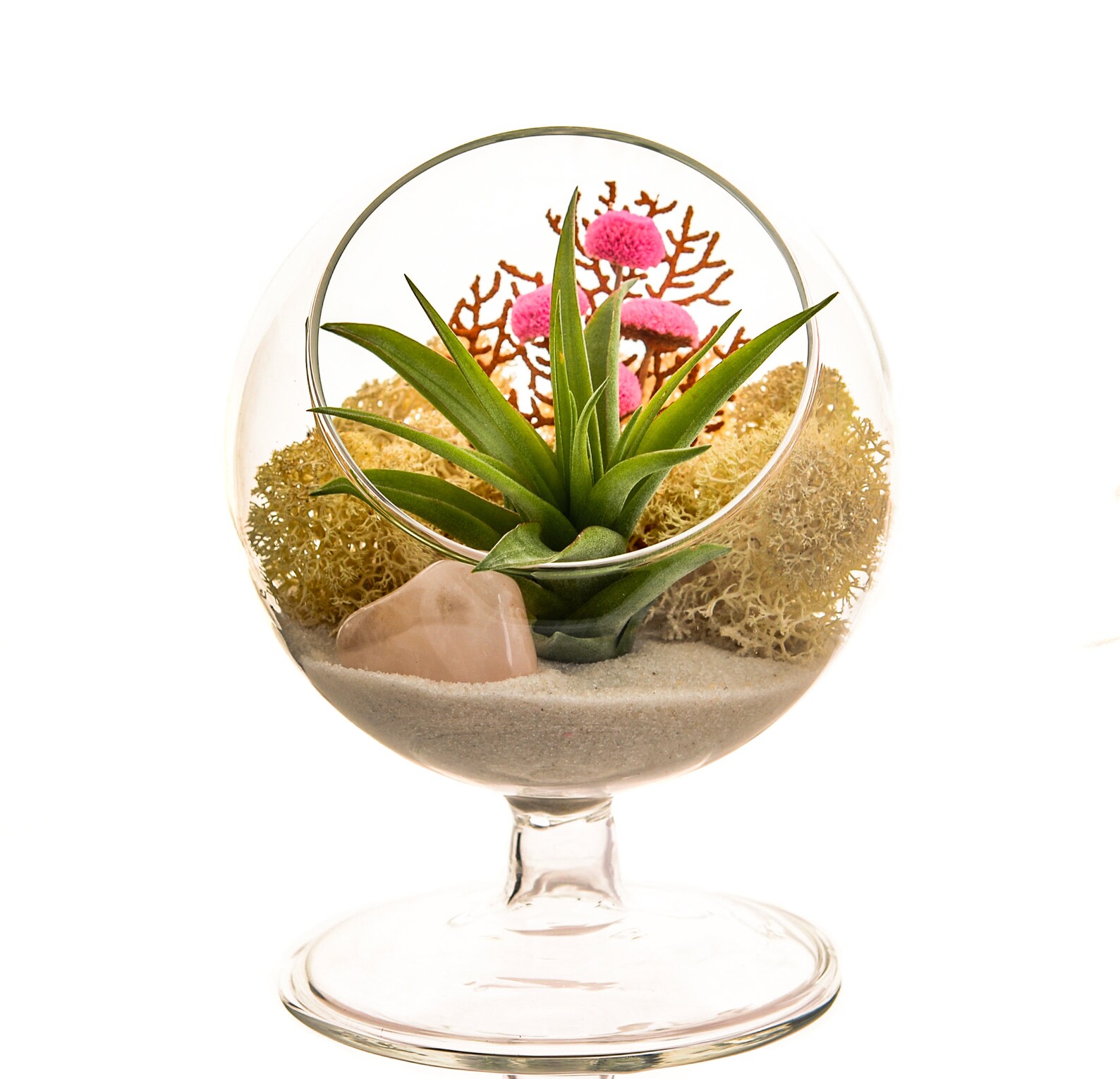 Air Plant Terrarium with Pink Rose Quartz / 4 Round | Etsy