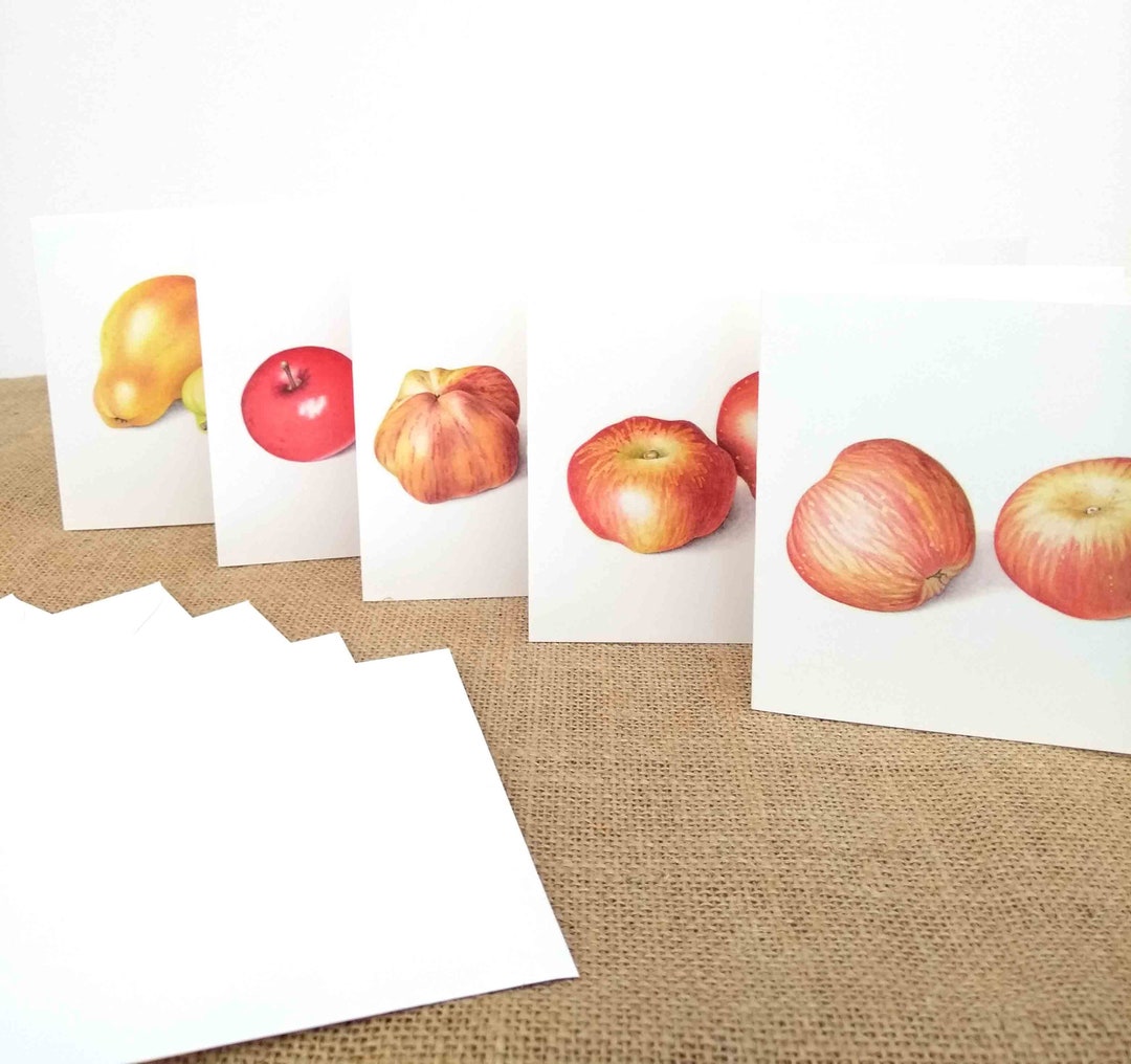 5 Heritage Apple Cards Pack, Notelets, Blank Inside - Etsy