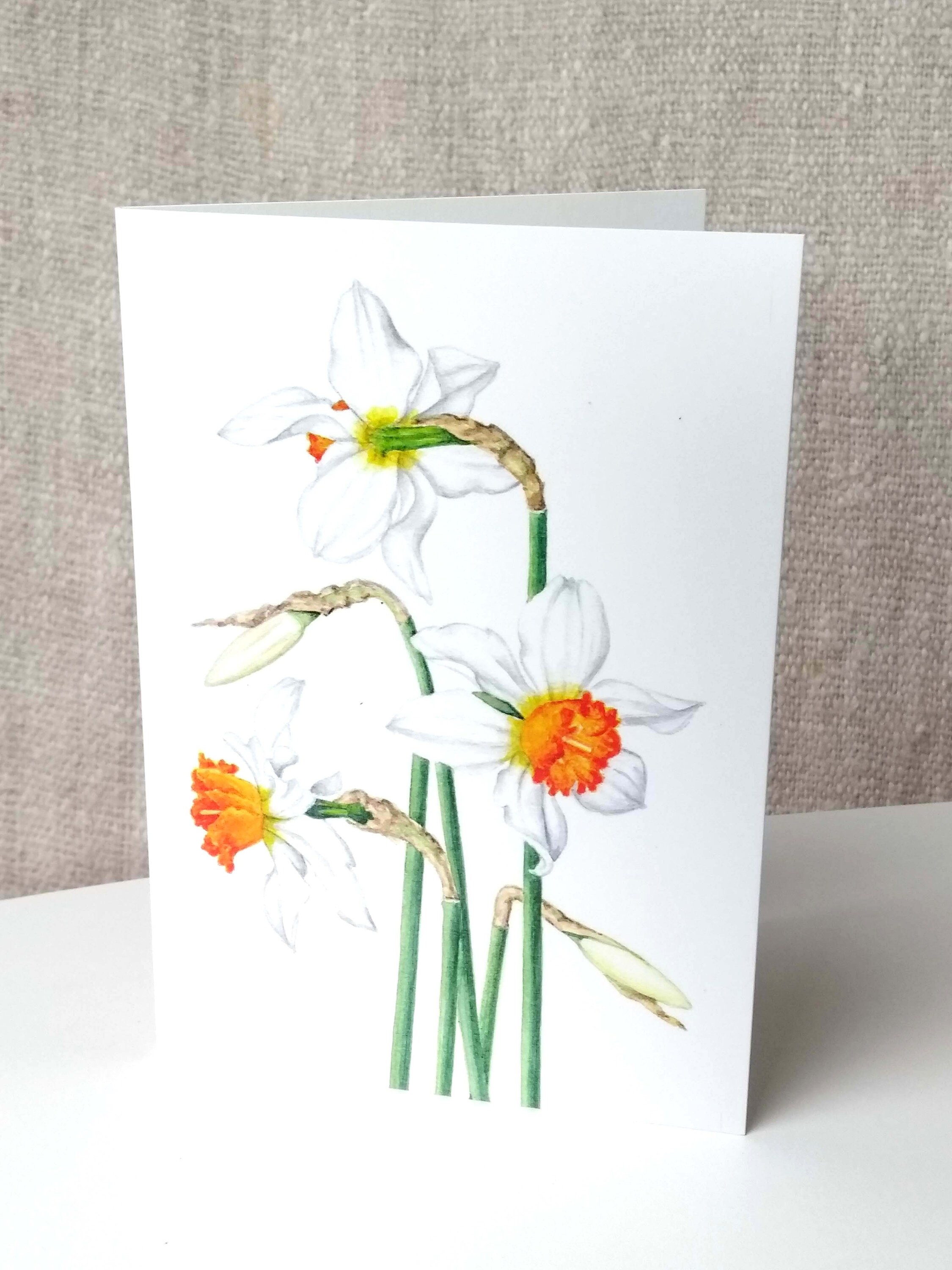 5 Heritage Daffodil / Narcissus Cards Pack Notelets Blank - Etsy UK