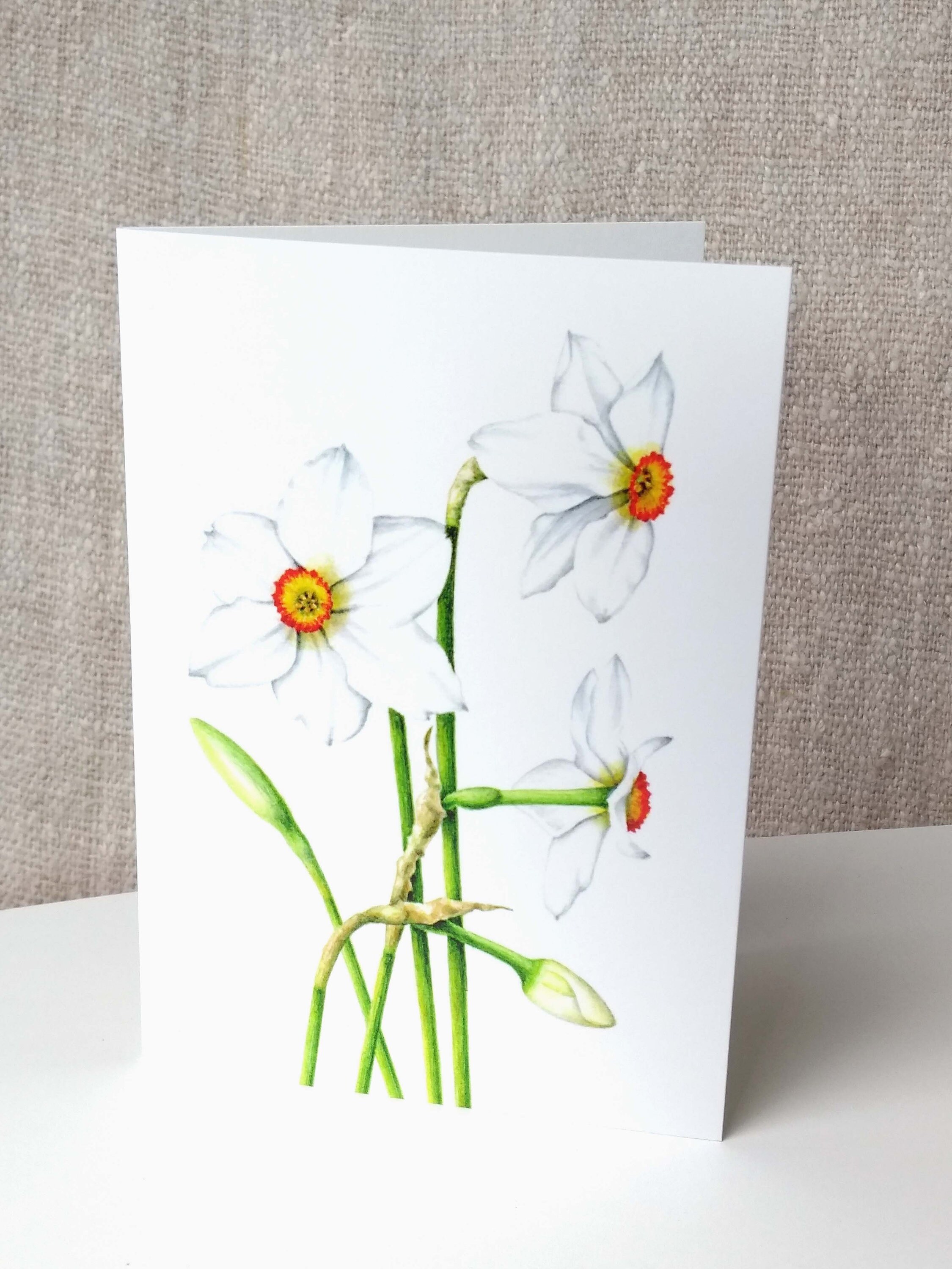 5 Heritage Daffodil / Narcissus Cards Pack Notelets Blank - Etsy UK