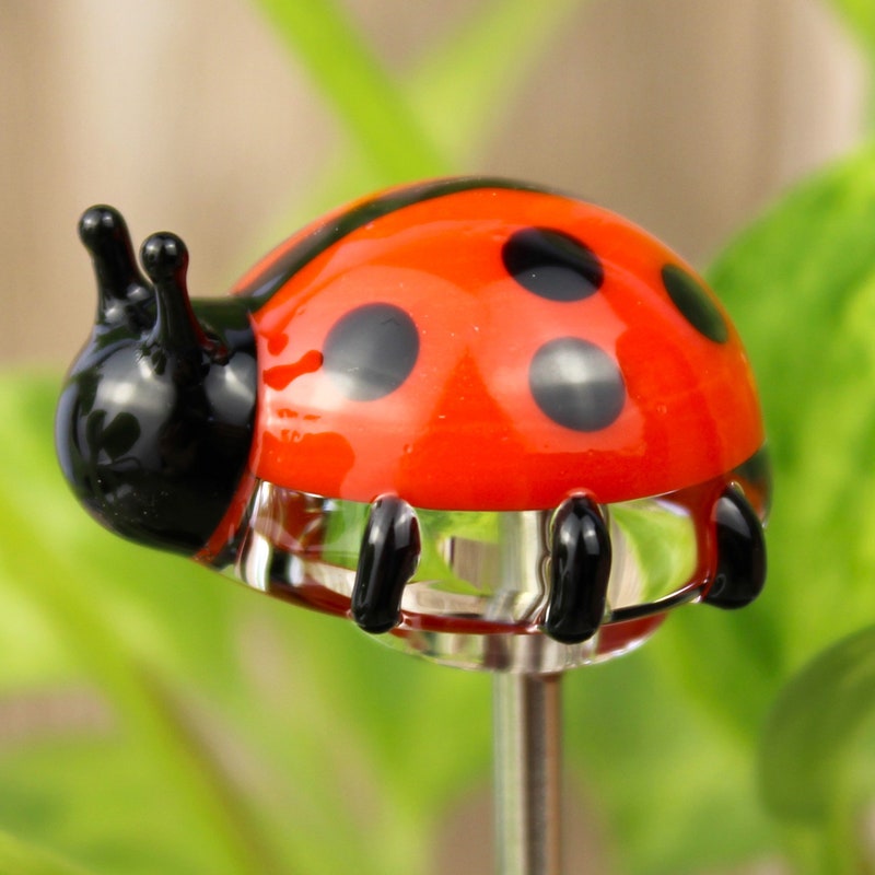 Ladybug Gifts - 60+ Gift Ideas for 2025