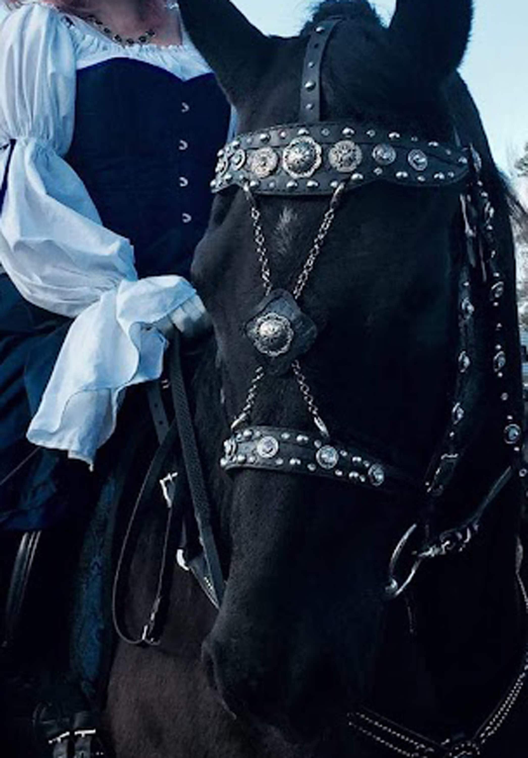 Medieval War Horse Tack