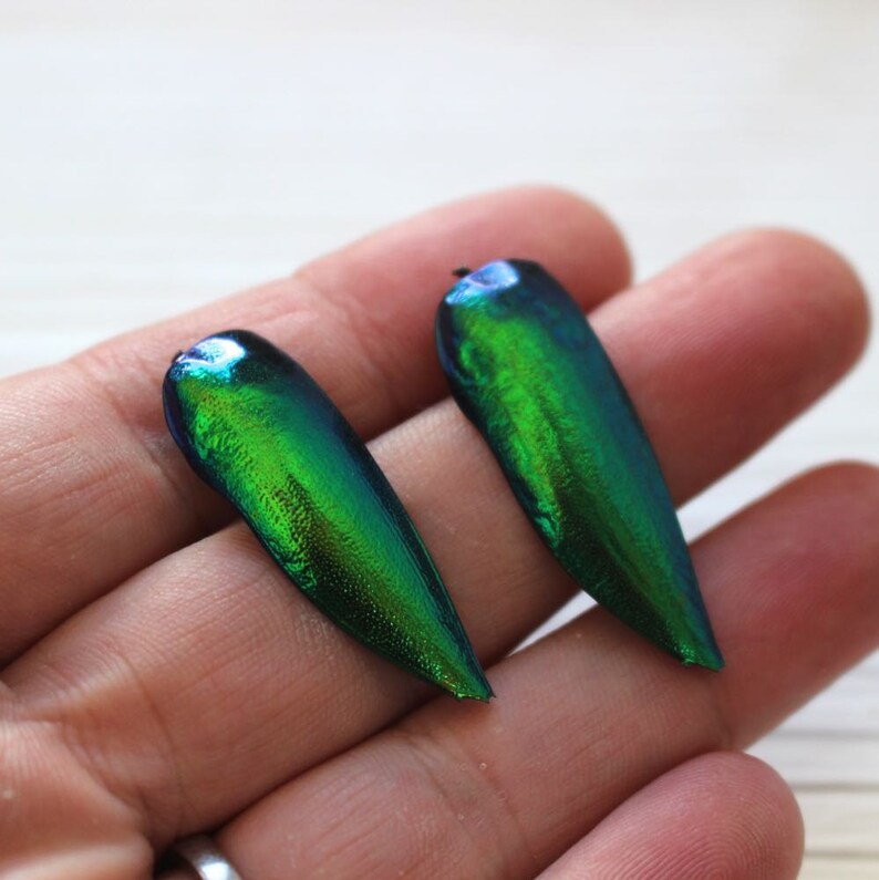 10 X Elytra Beetle Wings Undrilled - Etsy