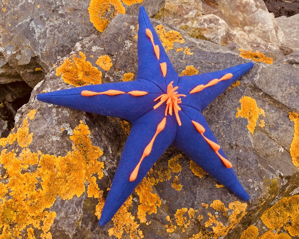 Starfish Plush Sewing Pattern: Beginner Pin Cushion (PDF) - Etsy