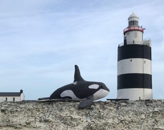 Orca sewing pattern with appliqué detailing. Sew your own | Etsy