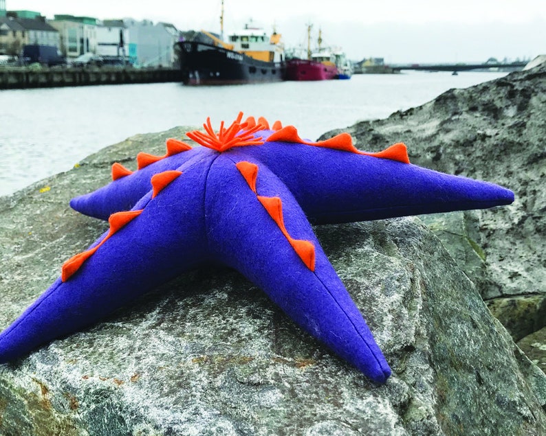 Starfish Sea Star plush sewing pattern Pin cushion patterns - Etsy México