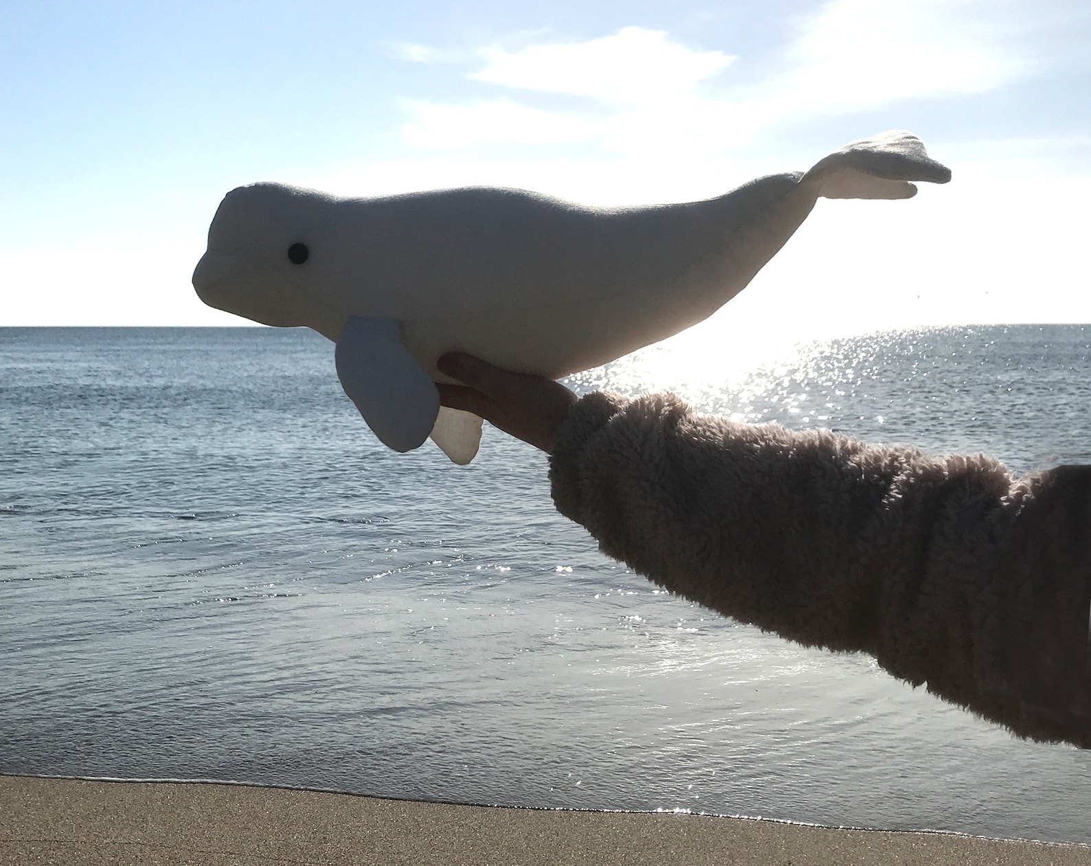 Beluga Whale Plush Sewing Pattern Pdf Download With Detailed - Etsy ...