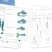 Dolphin Plush Sewing Pattern: DIY Soft Toy (PDF Pattern) - Etsy