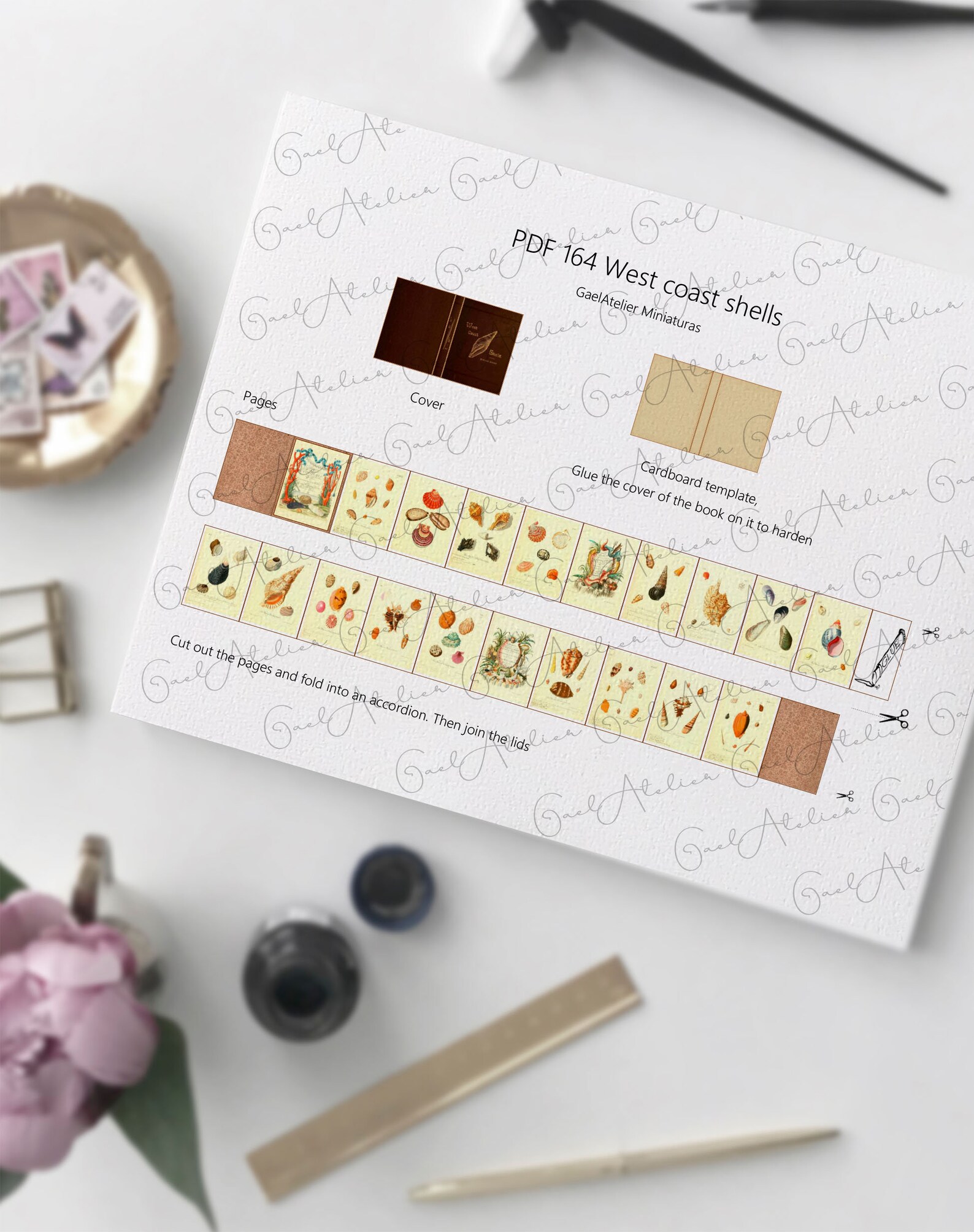 West Coast Shells Book Pdf. Dollhouse Miniature Album Book & - Etsy