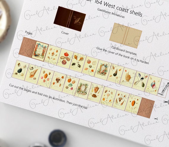 West Coast Shells Book Pdf. Dollhouse Miniature Album Book & - Etsy