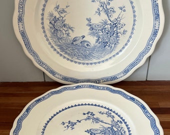 Antique Furnivals Quail 1913 8 Demitasse Cups & Saucers and - Etsy