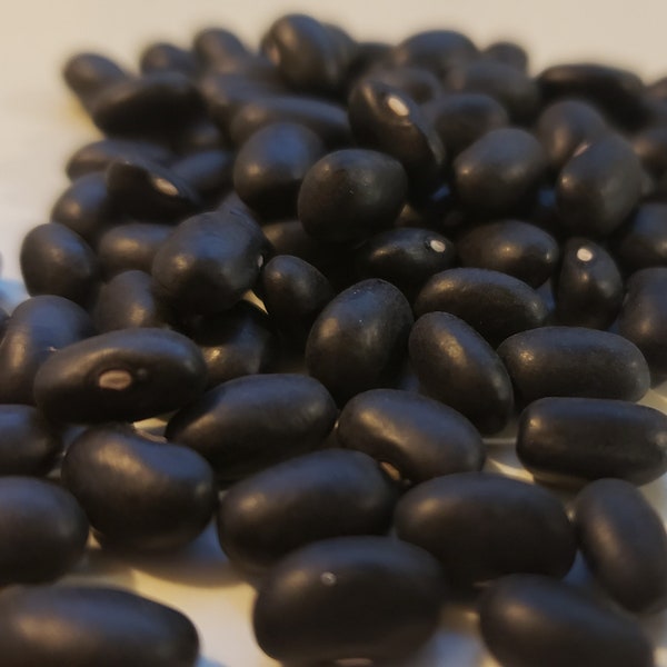 Black Turtle Beans - Etsy