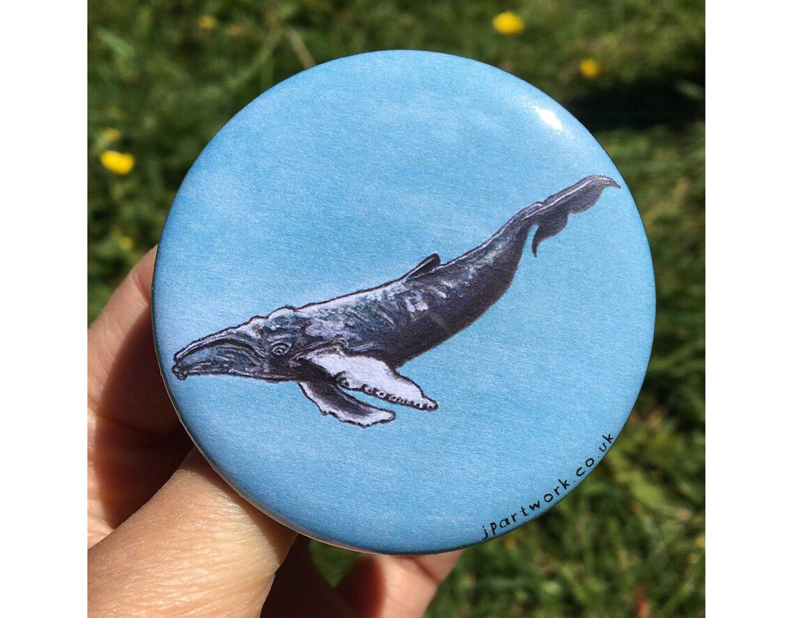 Blue Whale Badge 58mm Metal Pin Badge Pin Back Button - Etsy
