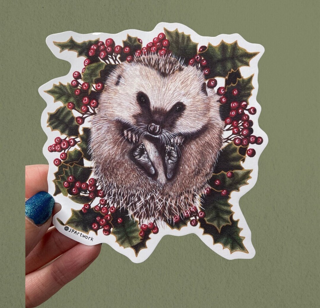Hedgehog Sticker, Waterproof Vinyl Decal, Laptop/planner/water Bottle ...