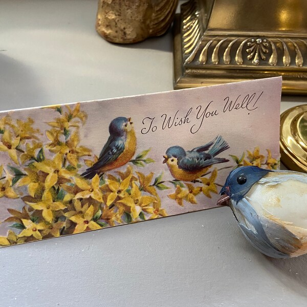 Vintage Bluebird - Etsy