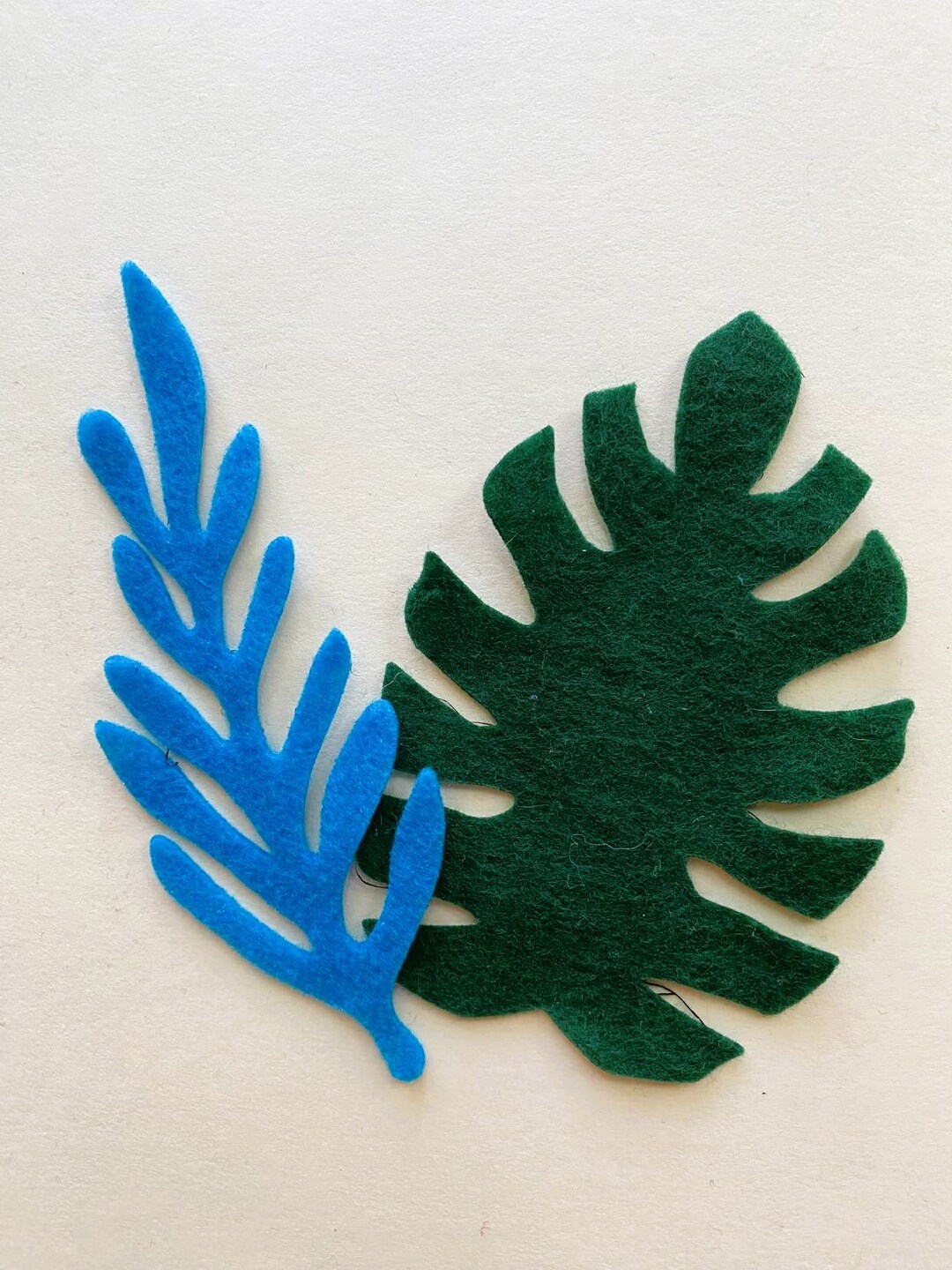 40 Ocean Leaves Monstera Seaweed - Etsy