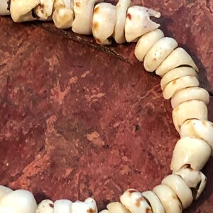 1970s Vintage Hobe' PUCA SHELL Choker Necklace by HOBE' Old Store Stock ...