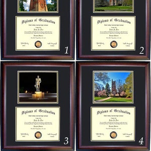 Michigan State Diploma Frame, MSU Graduation Gift, Free Shipping - Etsy