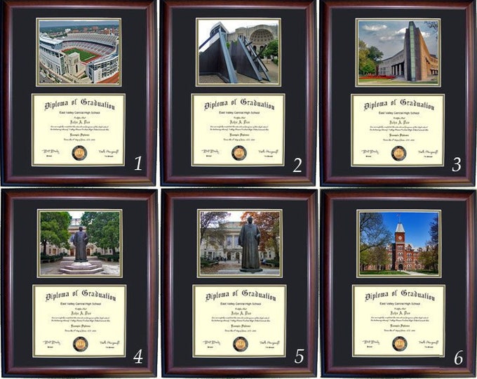 Ohio State Diploma Frame, OSU Graduation Gift, Free Shipping - Etsy