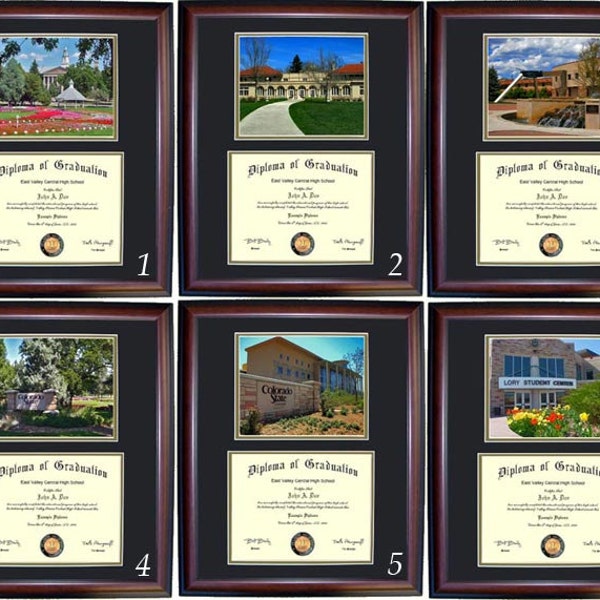 Colorado State University - Etsy