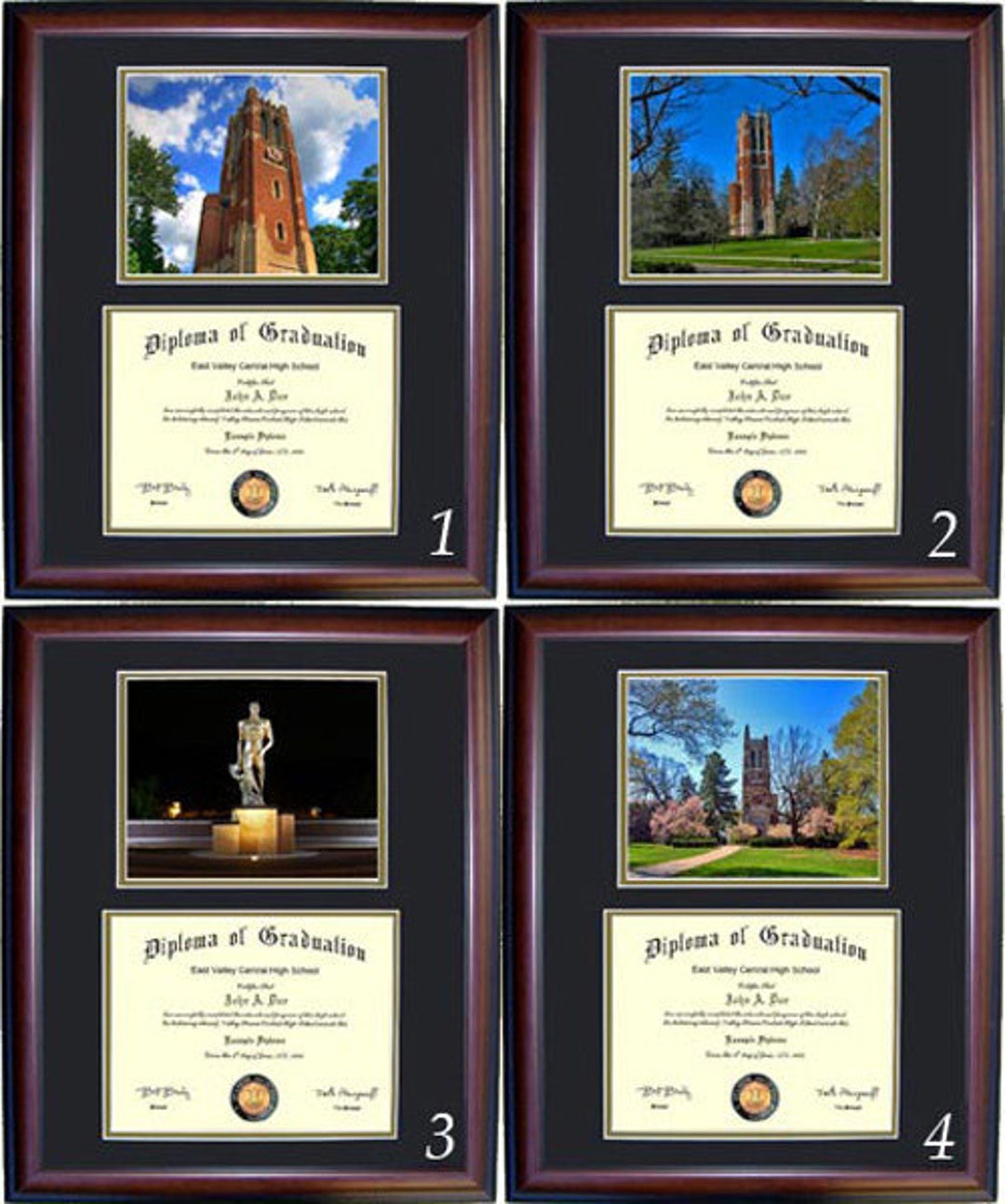 Michigan State Diploma Frame, MSU Graduation Gift, Free Shipping - Etsy