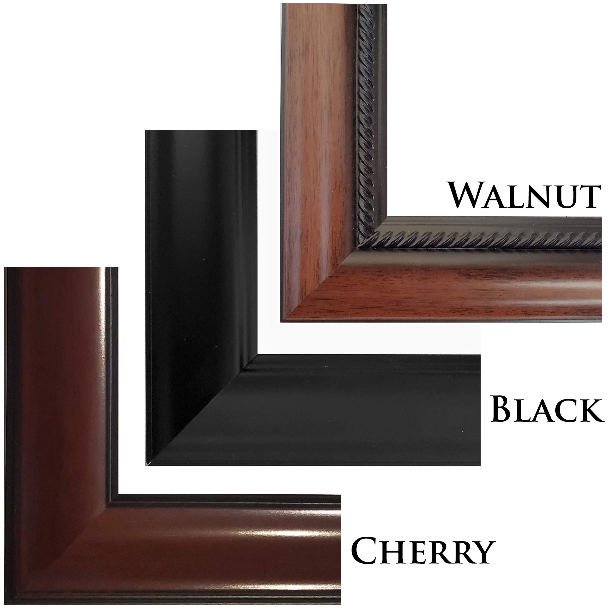 Michigan State Diploma Frame, MSU Graduation Gift, Free Shipping - Etsy