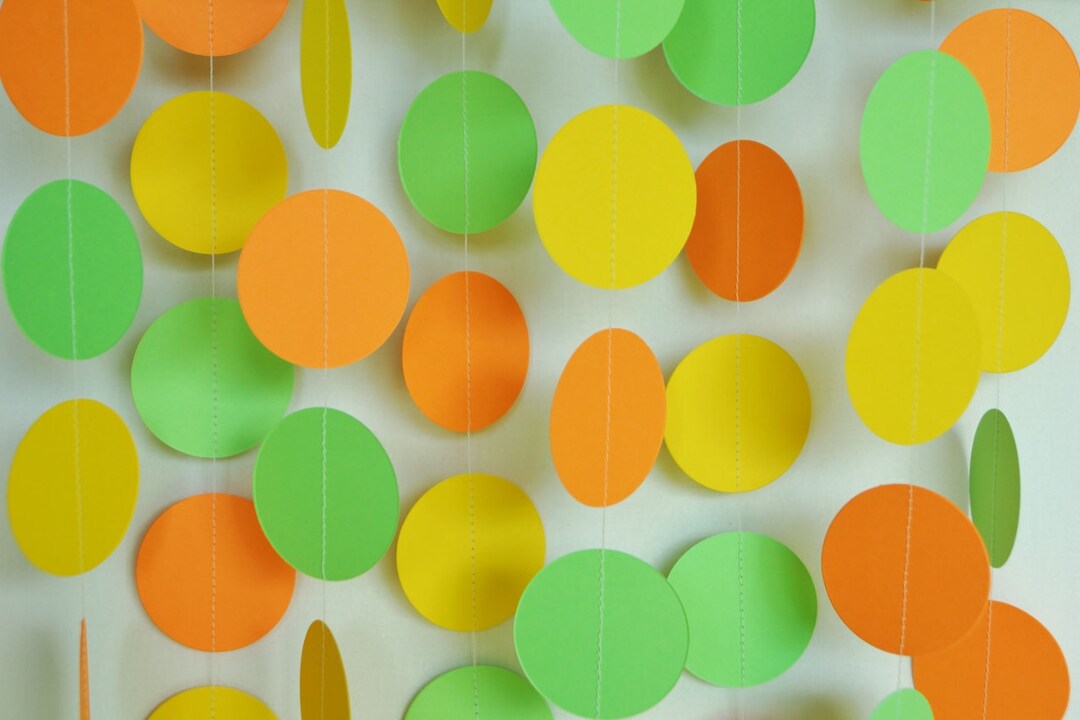 Citrus Birthday Party Theme Party Decorations Paper Circle - Etsy
