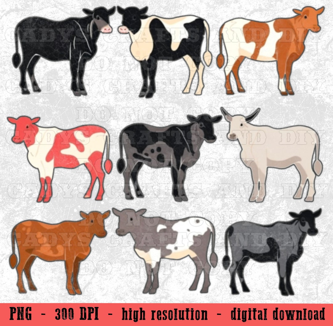 Set of Cows Design, Western PNG, Cow Love Png, Digital Download, High ...