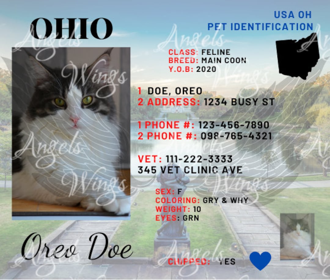 Ohio State Pet ID Tag - Etsy