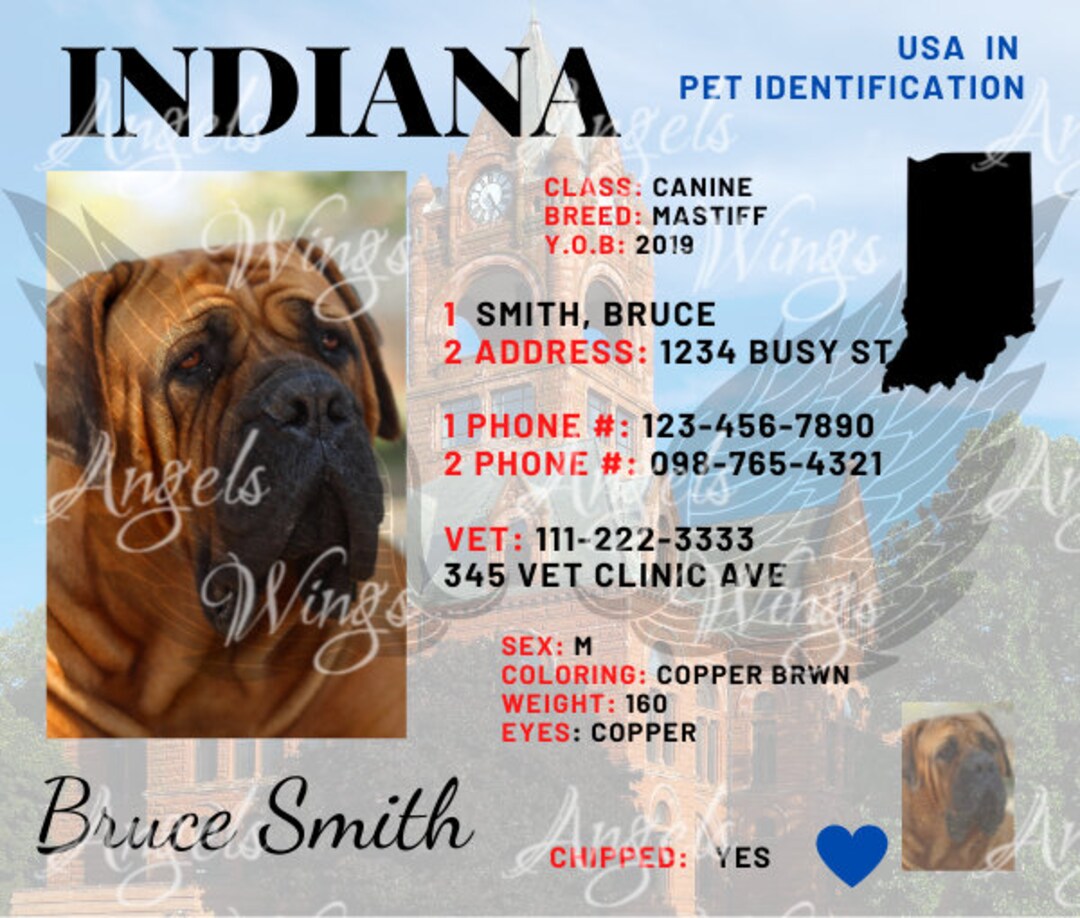 Indiana State Pet ID Tag - Etsy